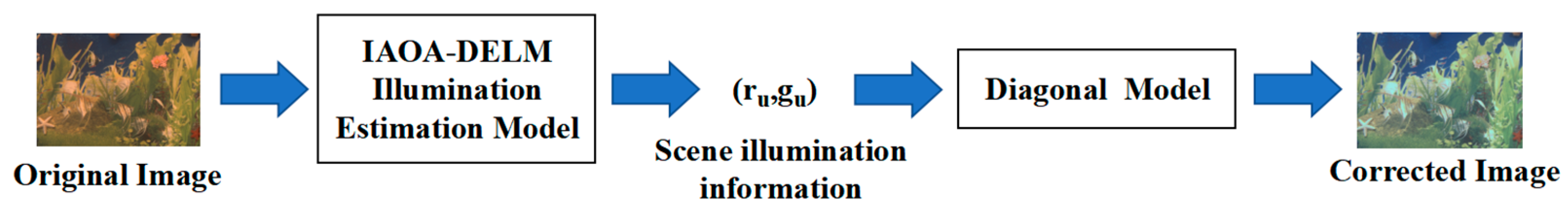 Underwater Image Color Constancy Calculation with Optimized Deep Extreme Learning Machine Based ...