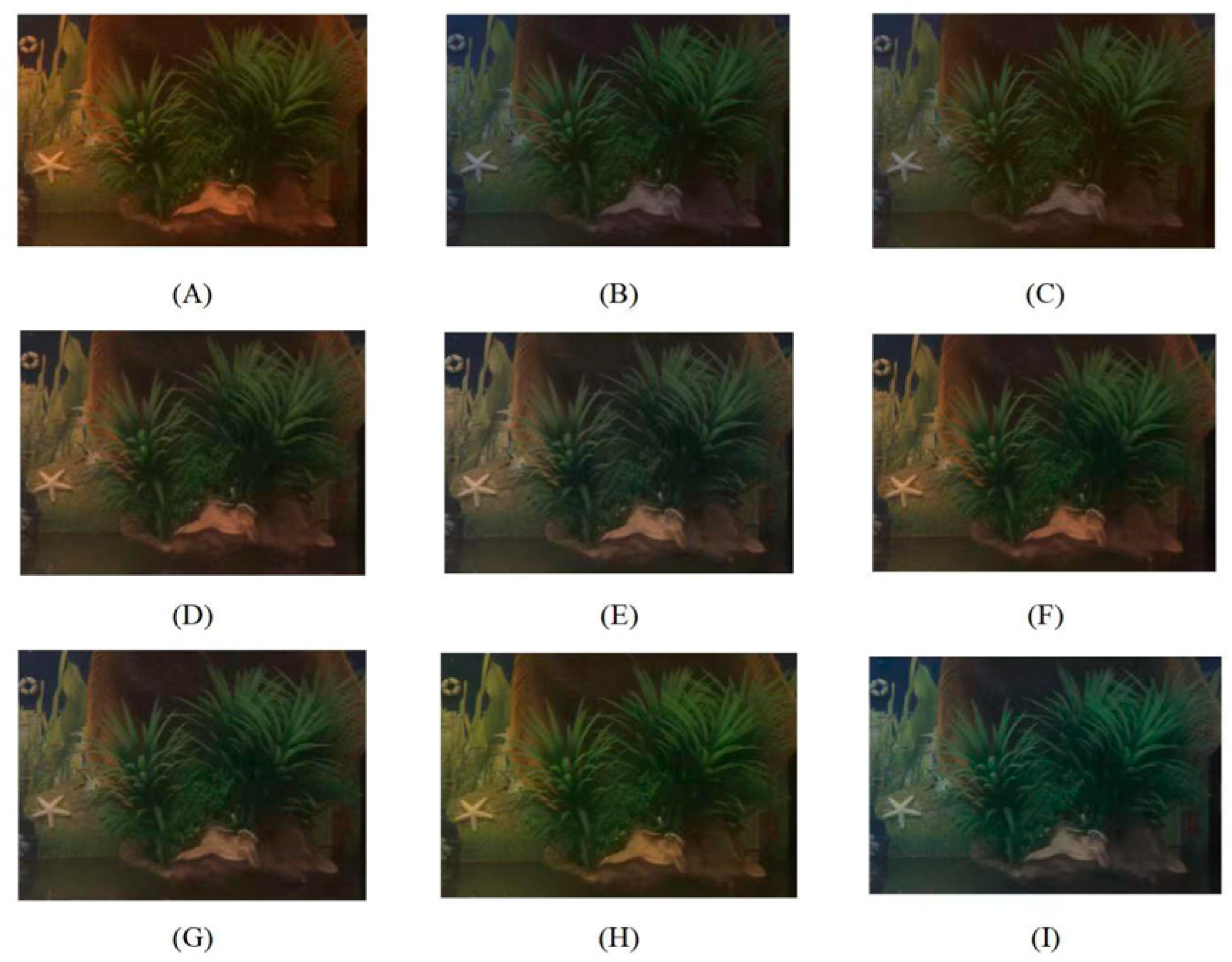 Underwater Image Color Constancy Calculation with Optimized Deep Extreme Learning Machine Based ...