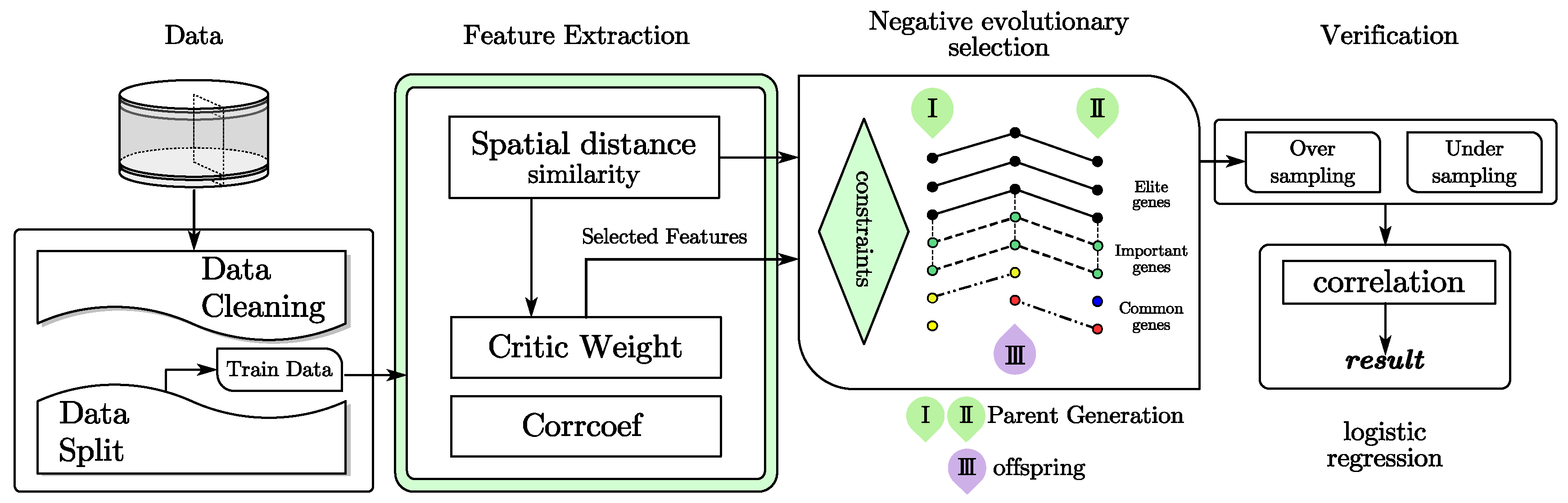 Denying Evolution Resampling: An Improved Method for Feature Selection on Imbalanced Data