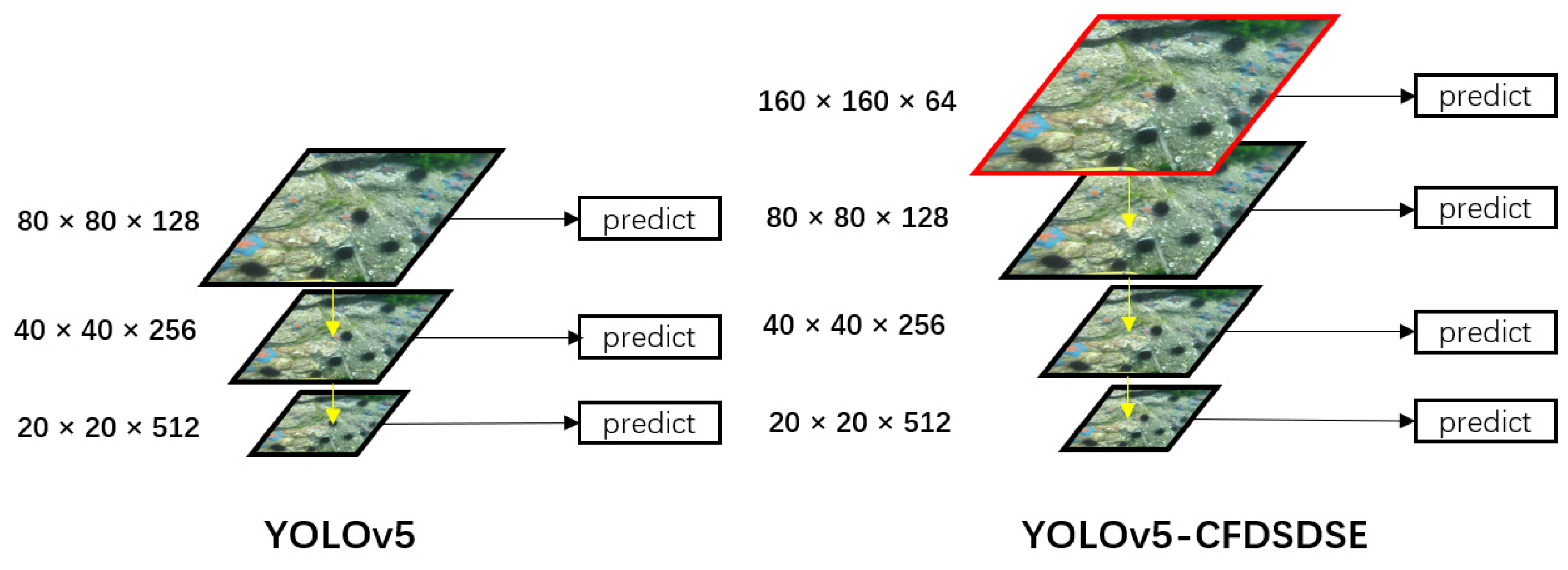 An Underwater Dense Small Object Detection Model Based on YOLOv5-CFDSDSE