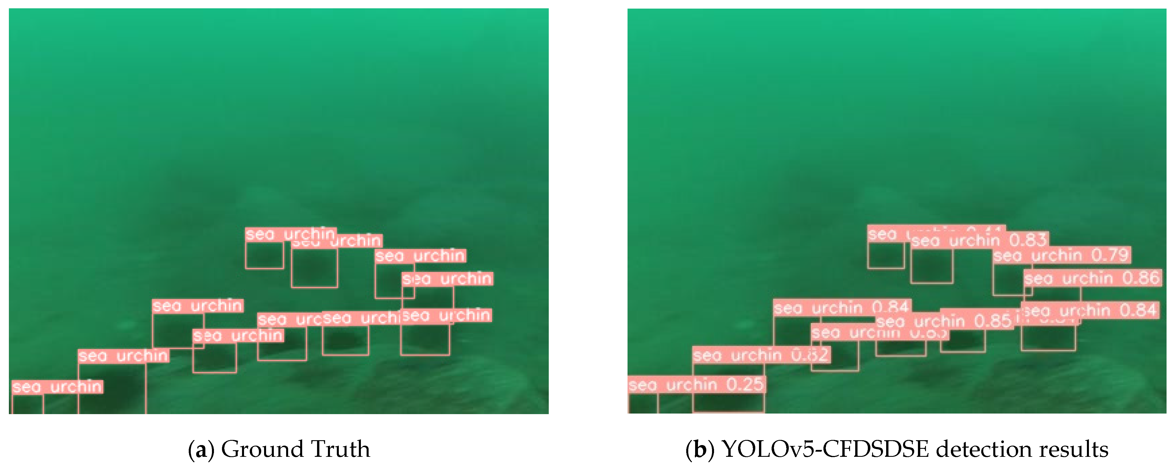 An Underwater Dense Small Object Detection Model Based on YOLOv5-CFDSDSE