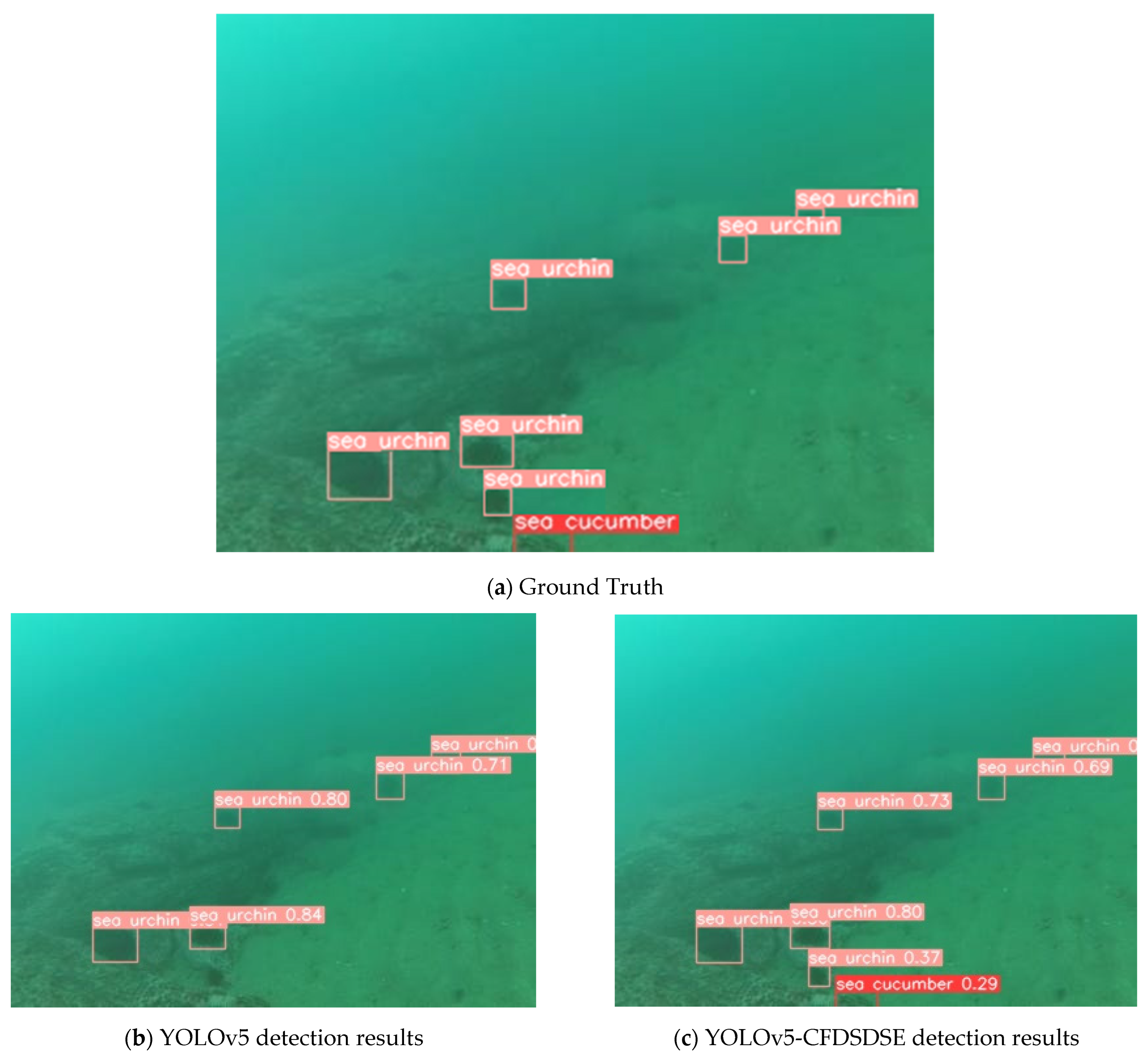 An Underwater Dense Small Object Detection Model Based on YOLOv5-CFDSDSE