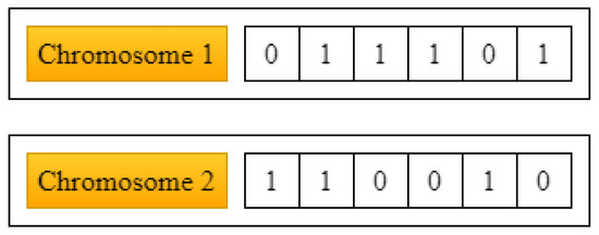 Advanced Misinformation Detection: A Bi-LSTM Model Optimized by Genetic Algorithms