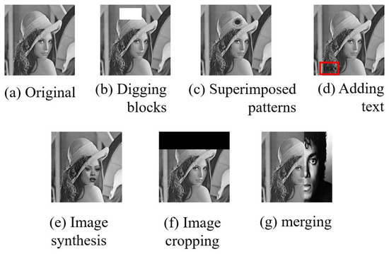 Image Authentication and Restoration Using Block-Wise Variational Automatic Encoding and ...