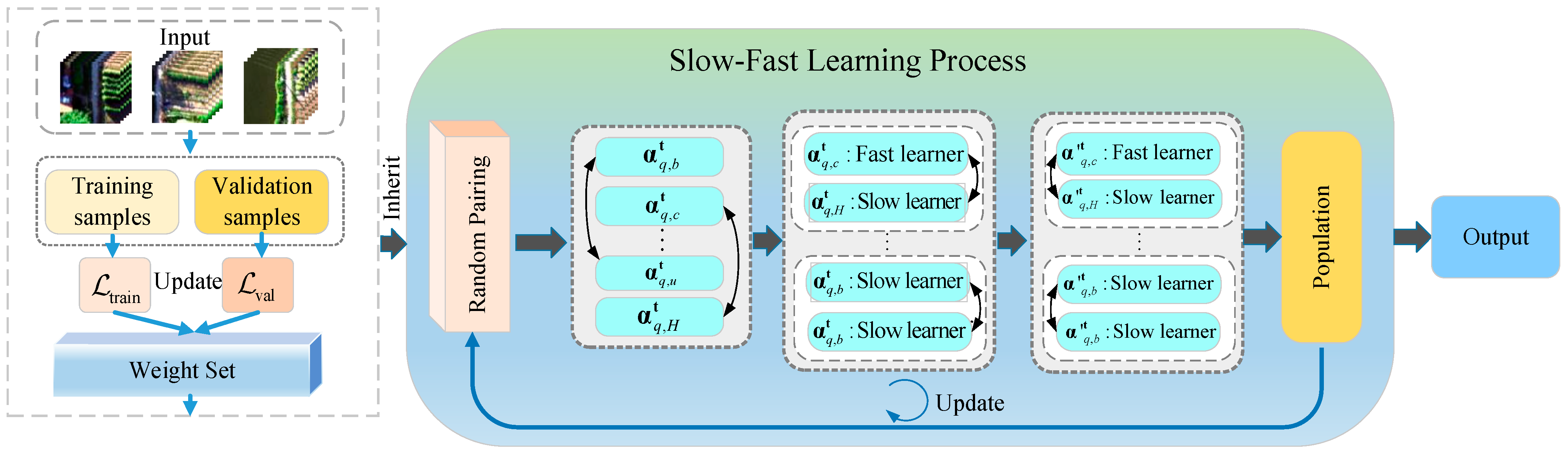 Electronics | Free Full-Text | Multi-Scale Spatial–Spectral Attention-Based Neural Architecture ...
