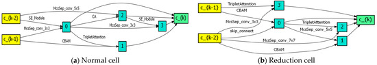 Multi-Scale Spatial–Spectral Attention-Based Neural Architecture Search for Hyperspectral Image ...