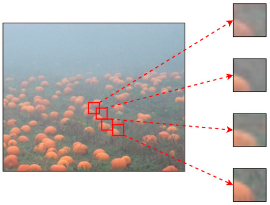 Enhancing Image Clarity: A Non-Local Self-Similarity Prior Approach for a Robust Dehazing Algorithm