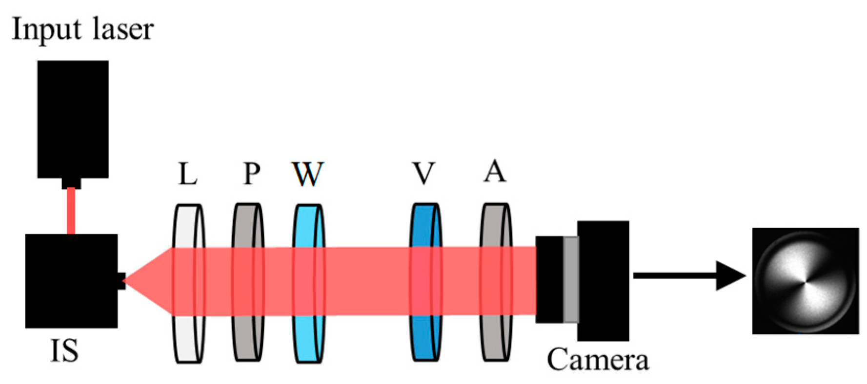 An Improved CNN for Polarization Direction Measurement