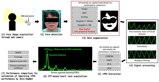 Improving Remote Photoplethysmography Performance through Deep-Learning-Based Real-Time Skin ...