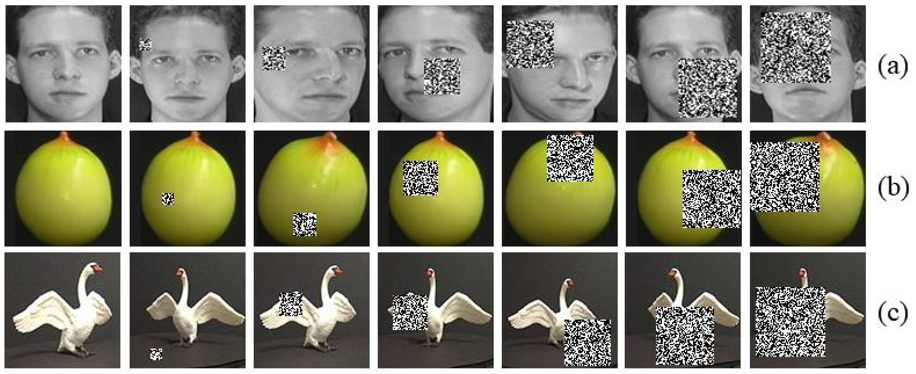 A Bi-Directional Two-Dimensional Deep Subspace Learning Network with ...