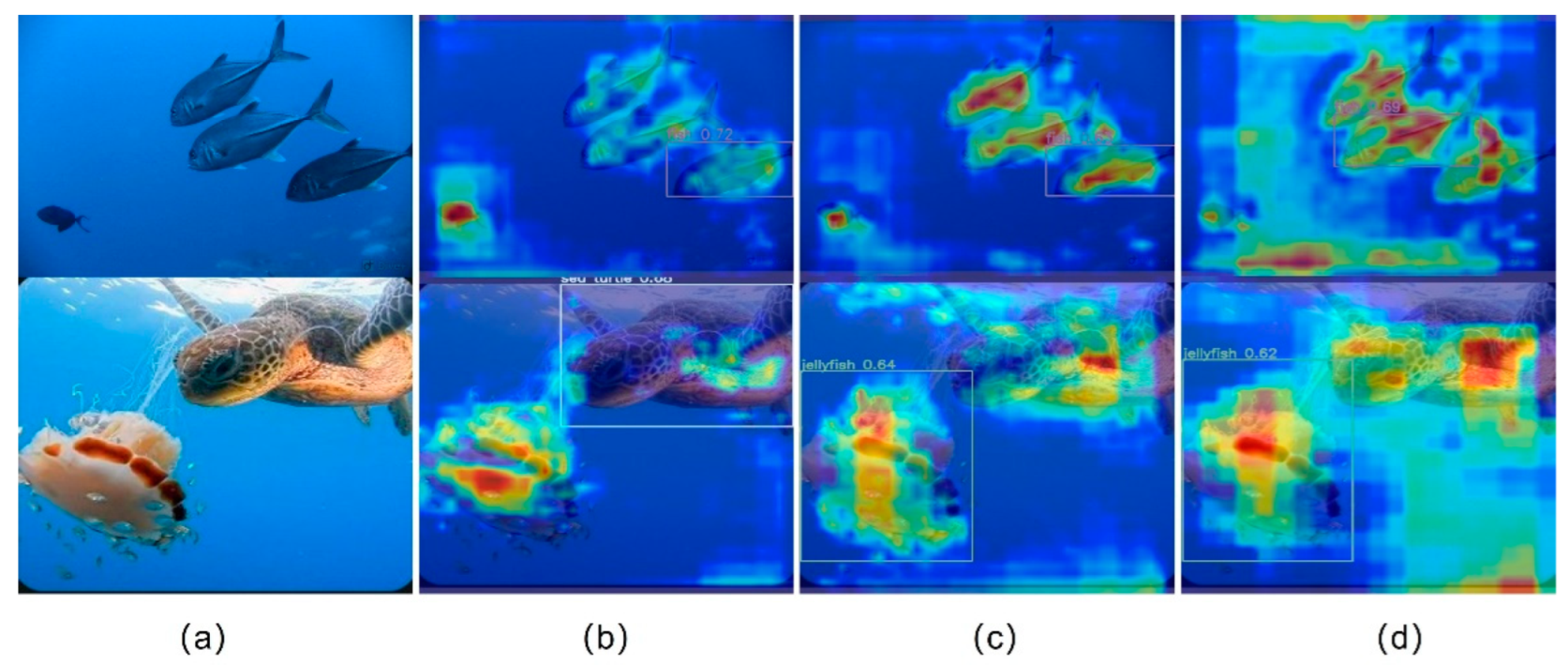 DSW-YOLOv8n: A New Underwater Target Detection Algorithm Based on Improved YOLOv8n