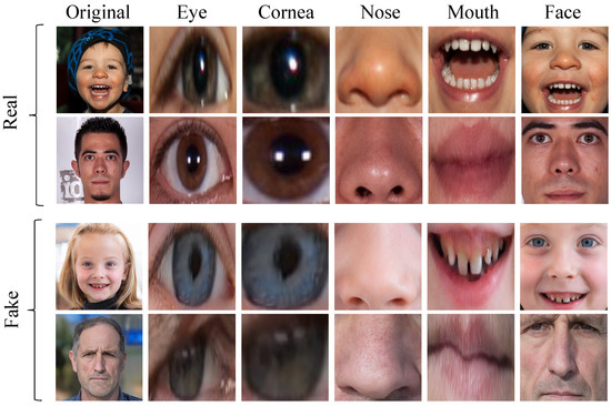 A Dynamic Ensemble Selection of Deepfake Detectors Specialized for ...