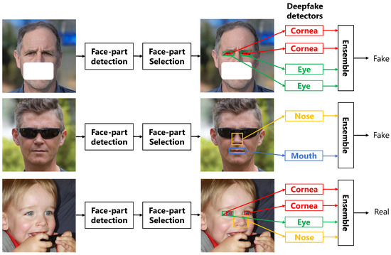A Dynamic Ensemble Selection of Deepfake Detectors Specialized for Individual Face Parts