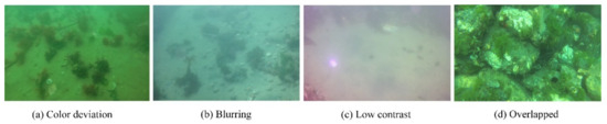 Image-Fused-Guided Underwater Object Detection Model Based on Improved ...
