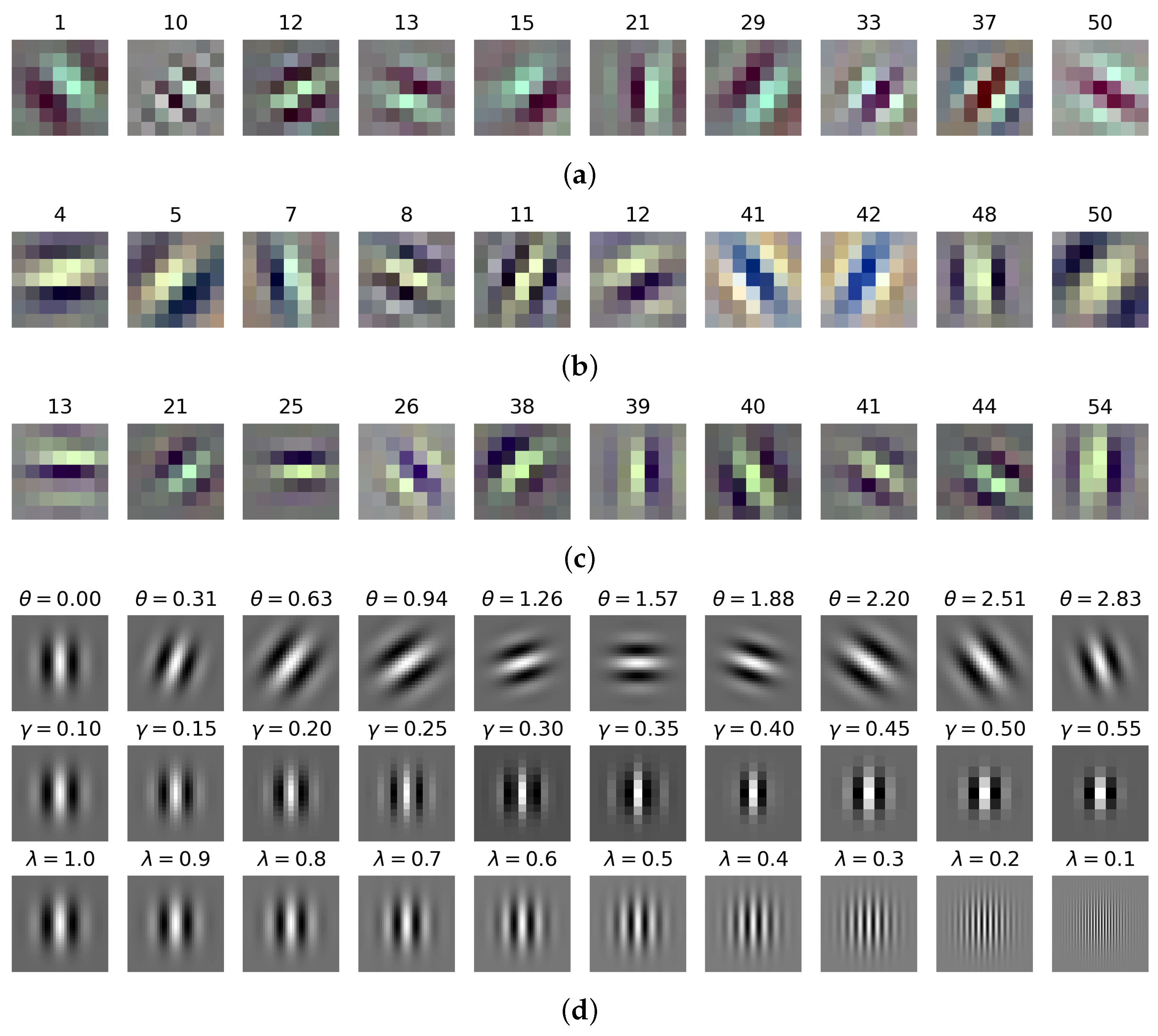 Daisy Image Feature Extraction The Gabor Filter Convolution On Sale