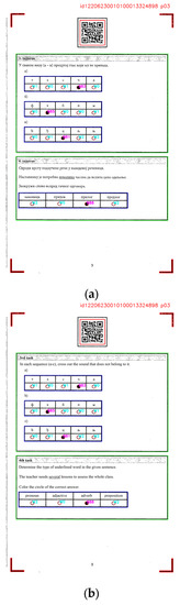 Software System for Automatic Grading of Paper Tests
