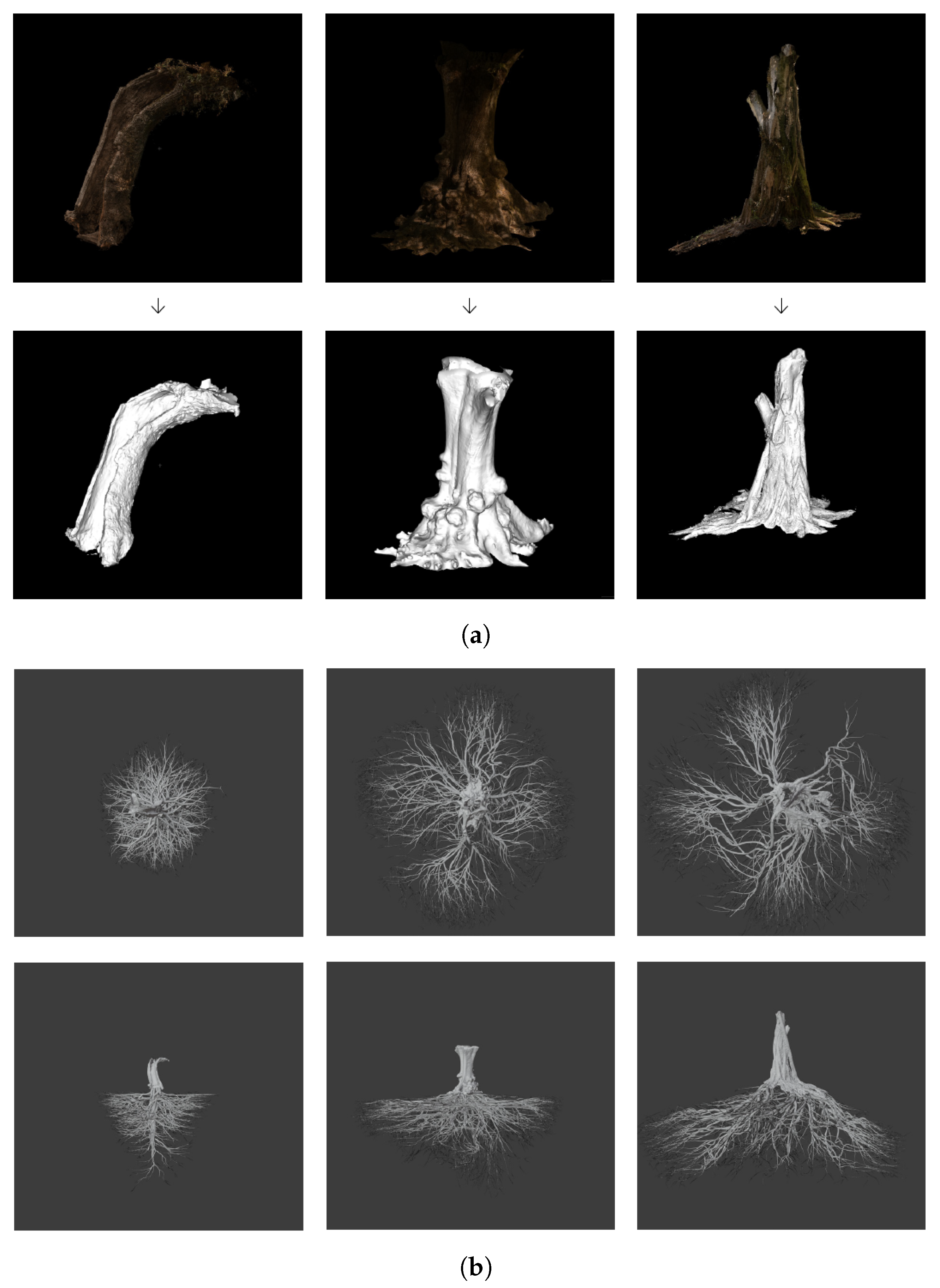 Kairos: Exploring a Virtual Botanical Garden through Point Clouds