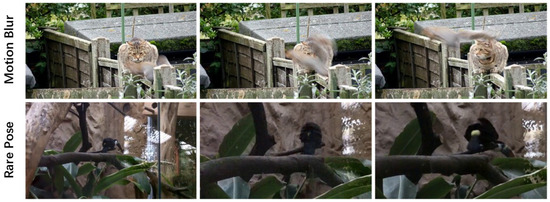 Even-Order Taylor Approximation-Based Feature Refinement and Dynamic Aggregation Model for Video ...