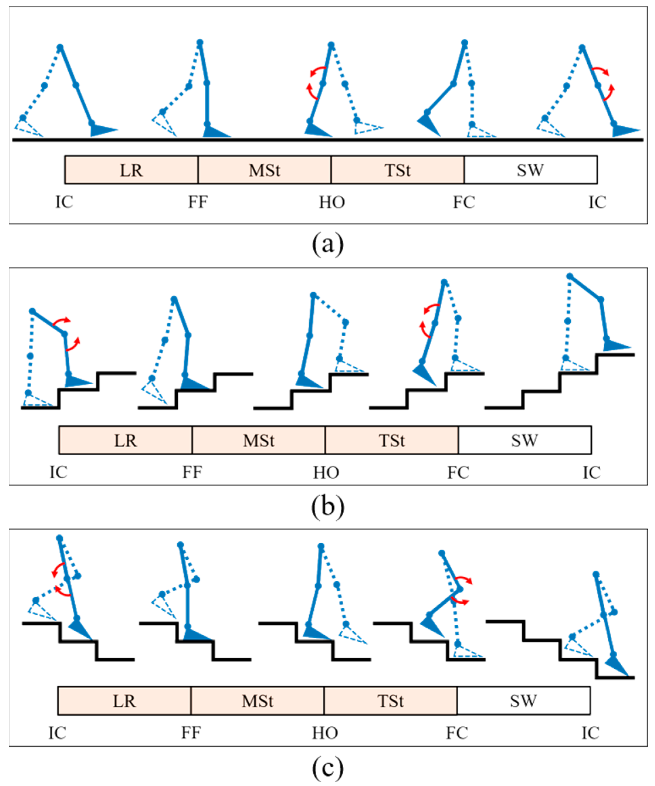 Inertial Measurement Unit-Based Real-Time Adaptive Algorithm for Human Walking Pattern and Gait ...