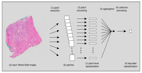 A Comprehensive Review on Multiple Instance Learning