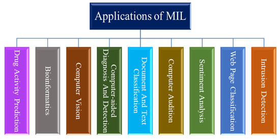 A Comprehensive Review on Multiple Instance Learning