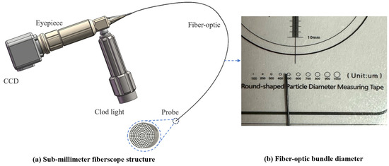 Blind Super-Resolution Network with Dual-Channel Attention for Images ...