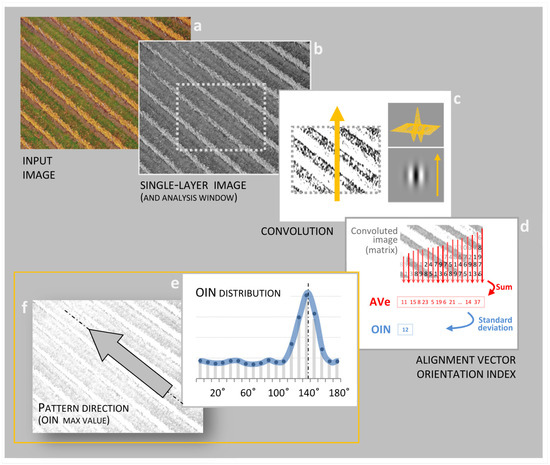 Pattern Orientation Finder (POF): A Robust, Bio-Inspired Light ...