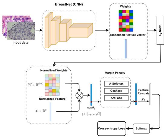 Chasing a Better Decision Margin for Discriminative Histopathological Breast Cancer Image ...
