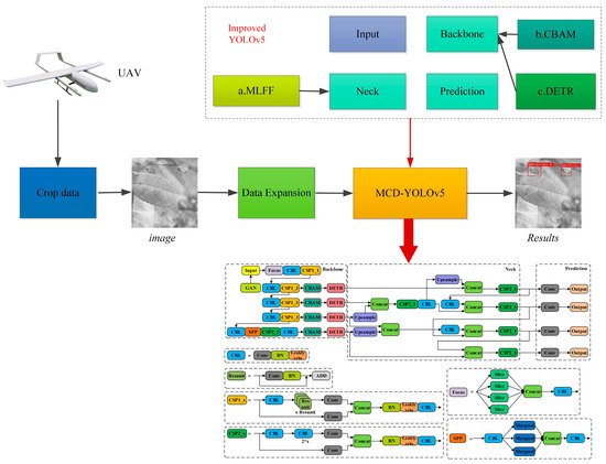 MCD-Yolov5: Accurate, Real-Time Crop Disease and Pest Identification Approach Using UAVs
