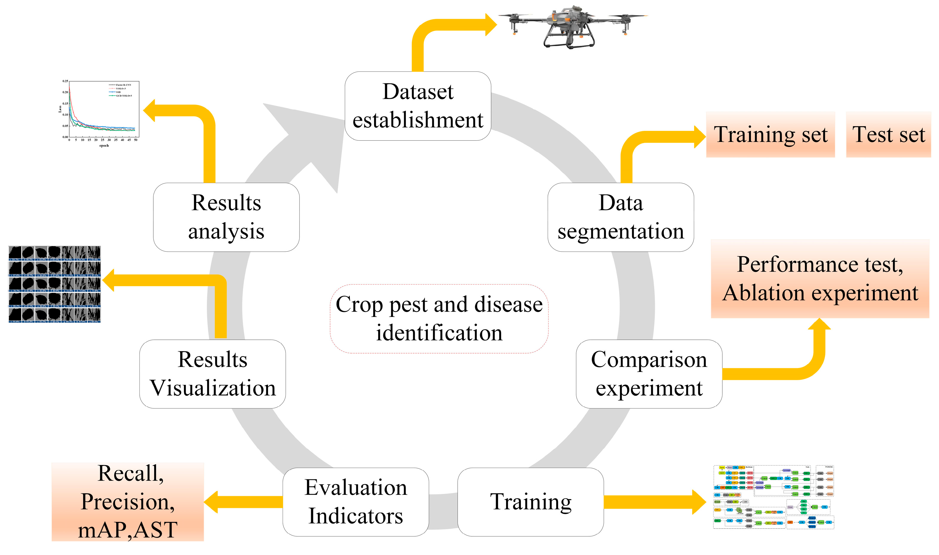 Mcd Yolov5 Accurate Real Time Crop Disease And Pest Identification Approach Using Uavs