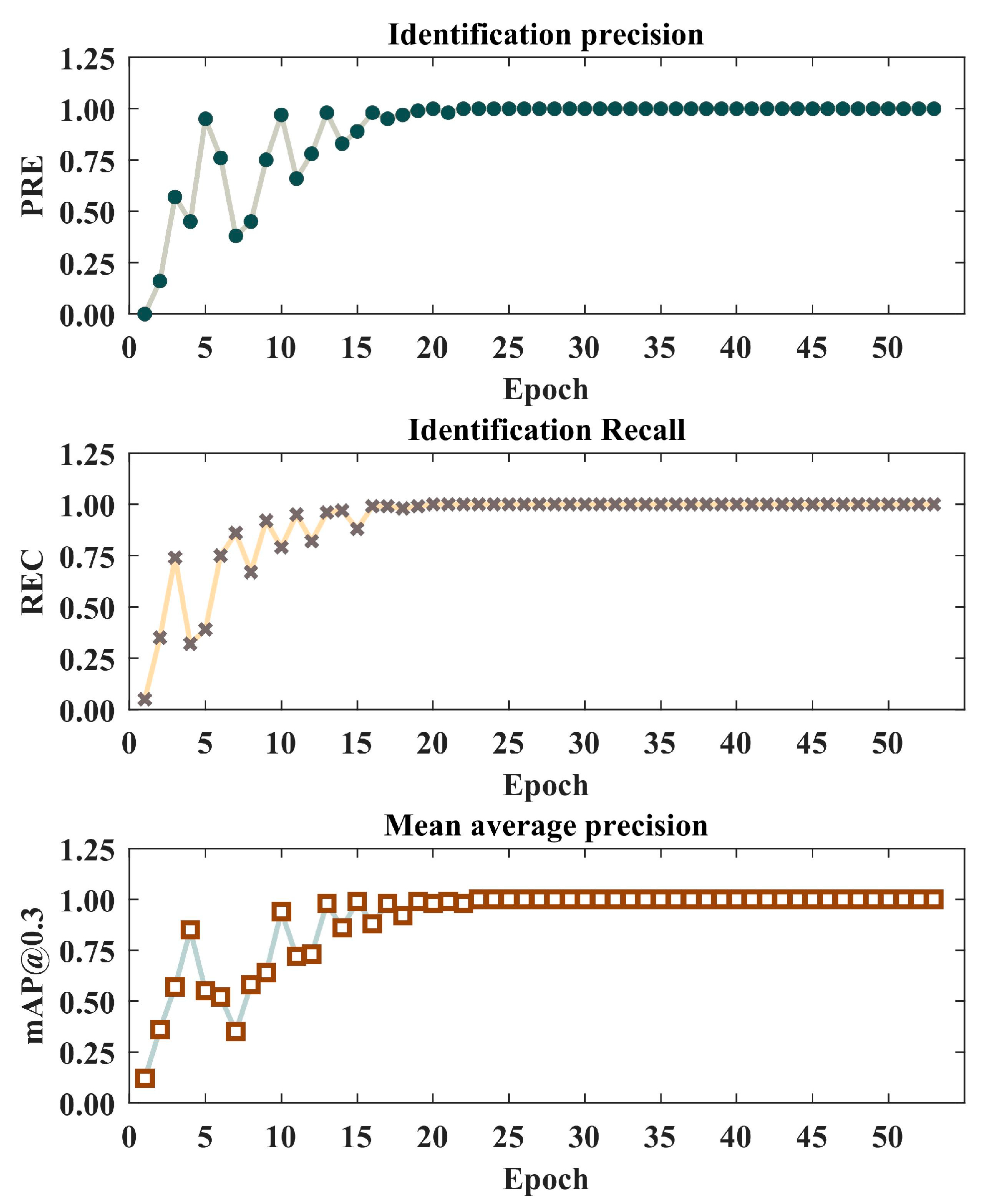 Mcd Yolov5 Accurate Real Time Crop Disease And Pest Identification Approach Using Uavs