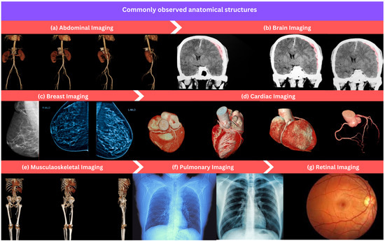 Machine Learning Empowering Personalized Medicine: A Comprehensive ...
