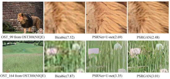 PSRGAN: Perception-Design-Oriented Image Super Resolution Generative Adversarial Network