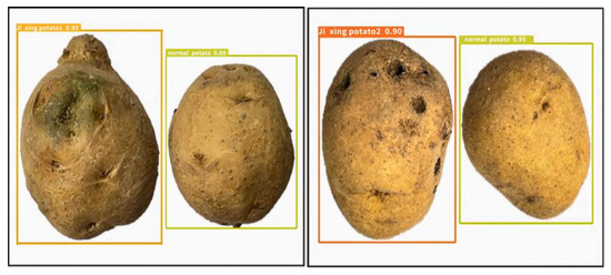 Potato Malformation Identification and Classification Based on Improved YOLOv3 Algorithm