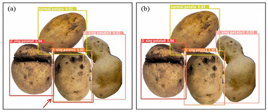 Potato Malformation Identification and Classification Based on Improved ...
