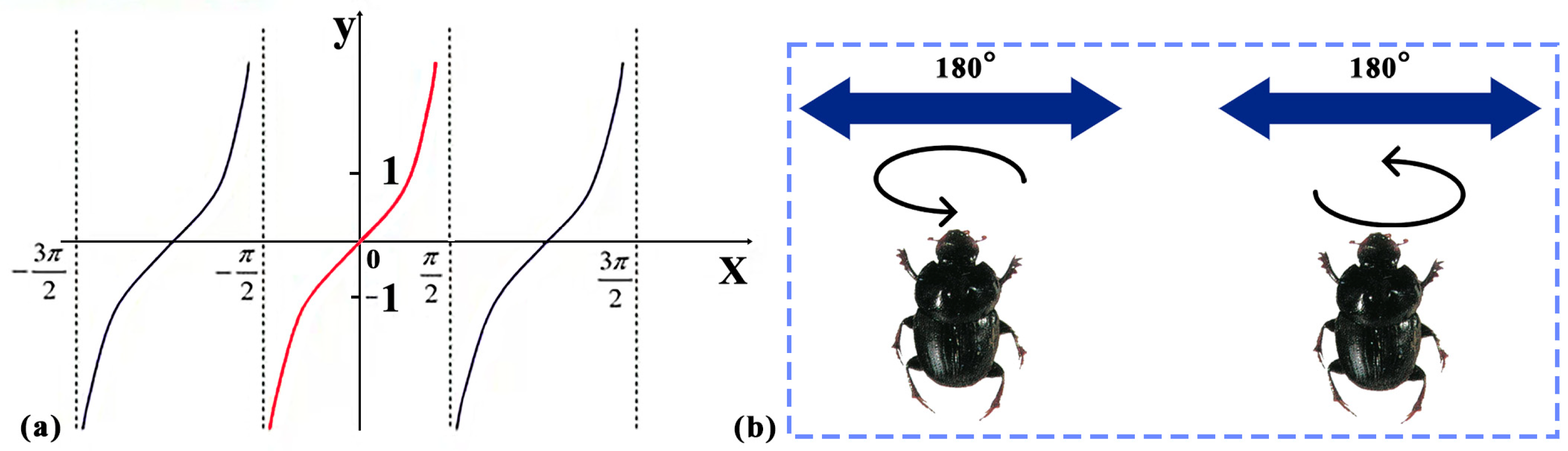 Enhancing Swarm Intelligence for Obstacle Avoidance with Multi-Strategy ...