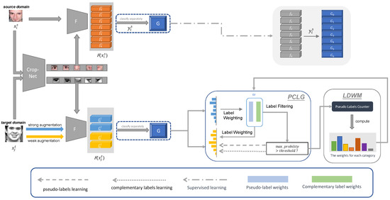 Cross-Domain Facial Expression Recognition through Reliable Global–Local Representation Learning ...