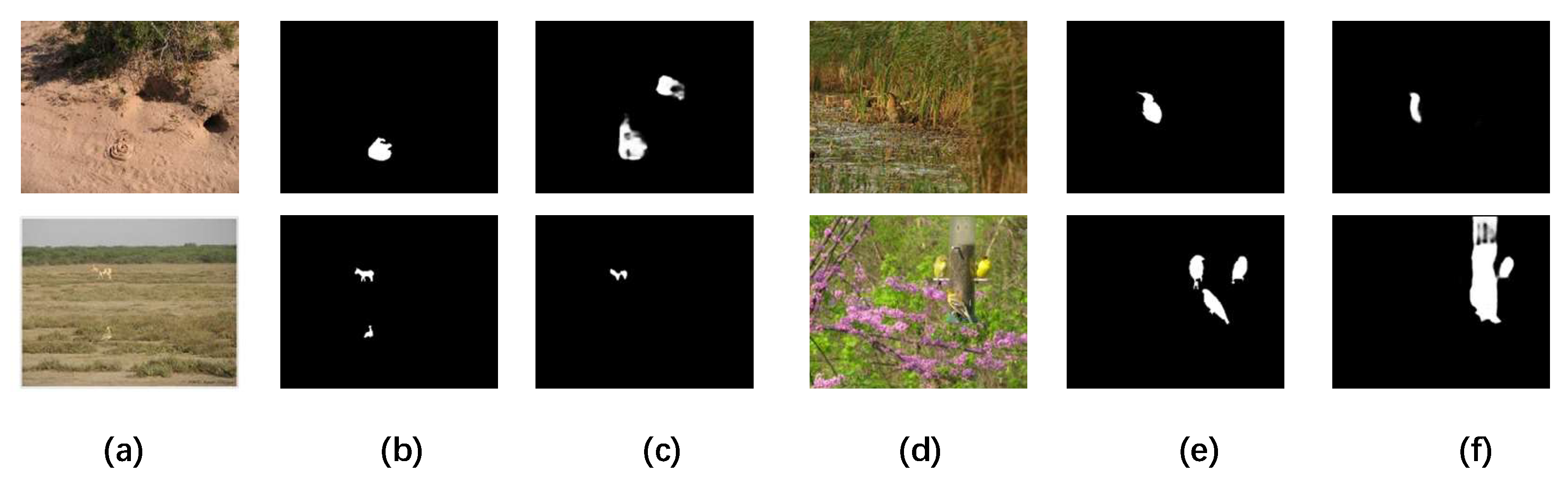 An Adaptive Multi-Content Complementary Network for Salient Object Detection