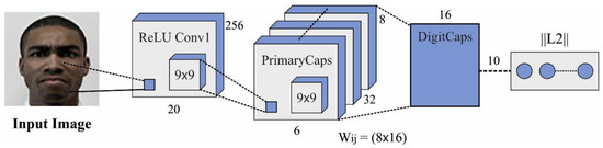 Automated Facial Emotion Recognition Using the Pelican Optimization ...