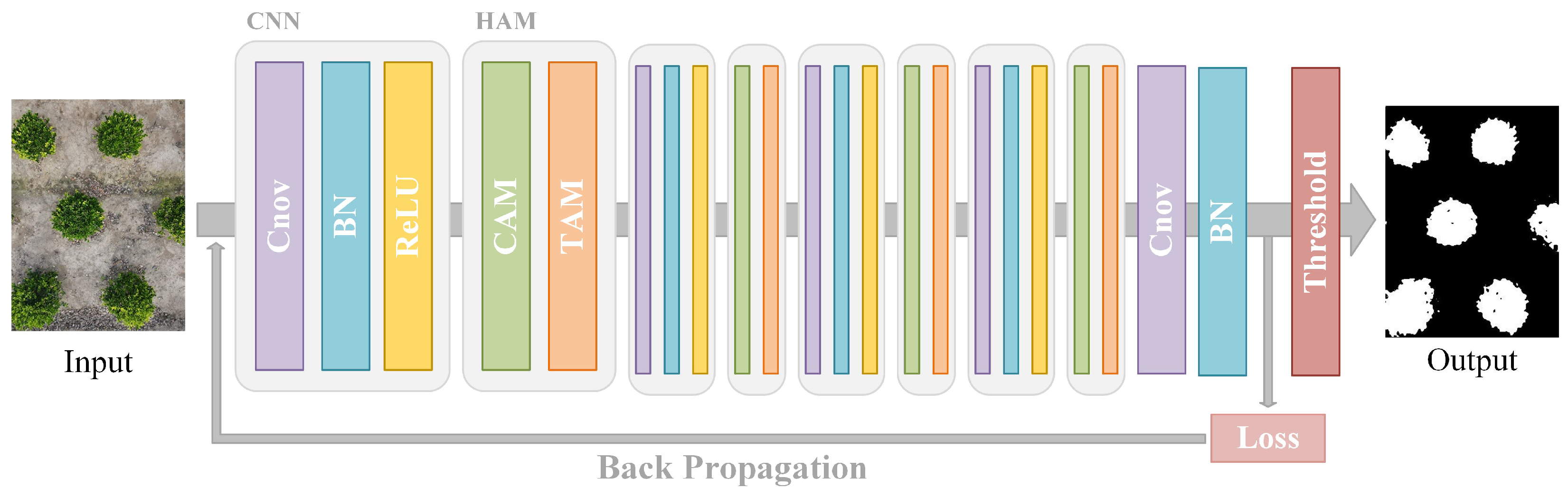 A Novel Unsupervised Segmentation Method of Canopy Images from UAV ...