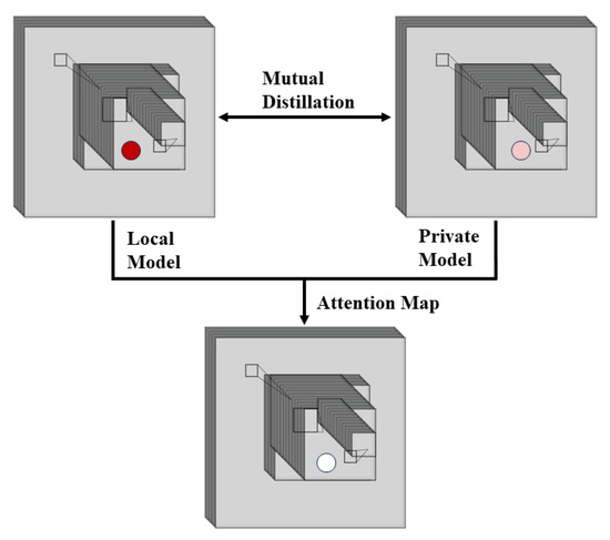 FMDL: Federated Mutual Distillation Learning for Defending Backdoor Attacks