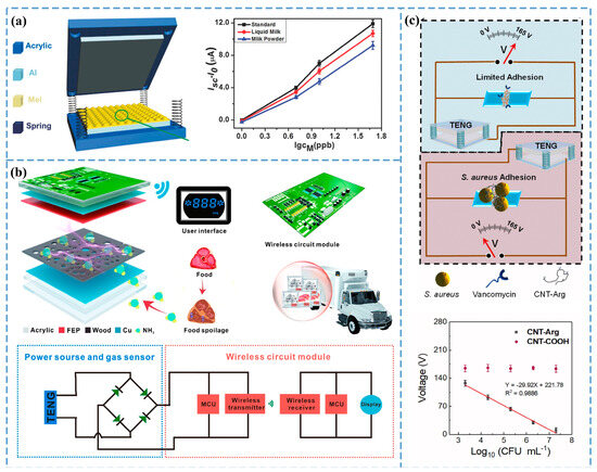 Triboelectric Nanogenerator-Based Electronic Sensor System for Food ...