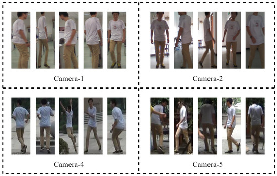 Electronics | Free Full-Text | Dual-Stage Attribute Embedding and ...