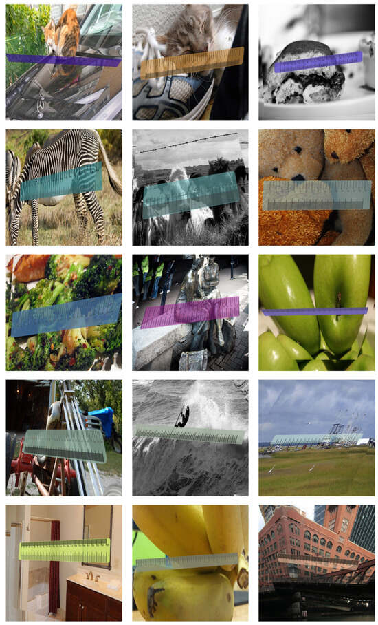 Rulers2023: An Annotated Dataset of Synthetic and Real Images for Ruler Detection Using Deep ...