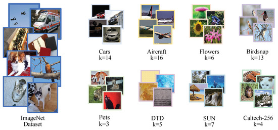 Discrepant Semantic Diffusion Boosts Transfer Learning Robustness