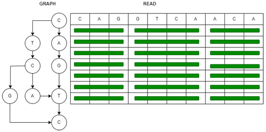 First Steps towards Efficient Genome Assembly on ARM-Based HPC