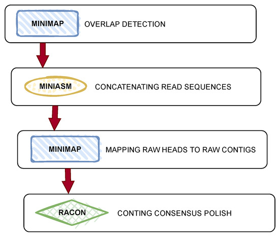 First Steps towards Efficient Genome Assembly on ARM-Based HPC