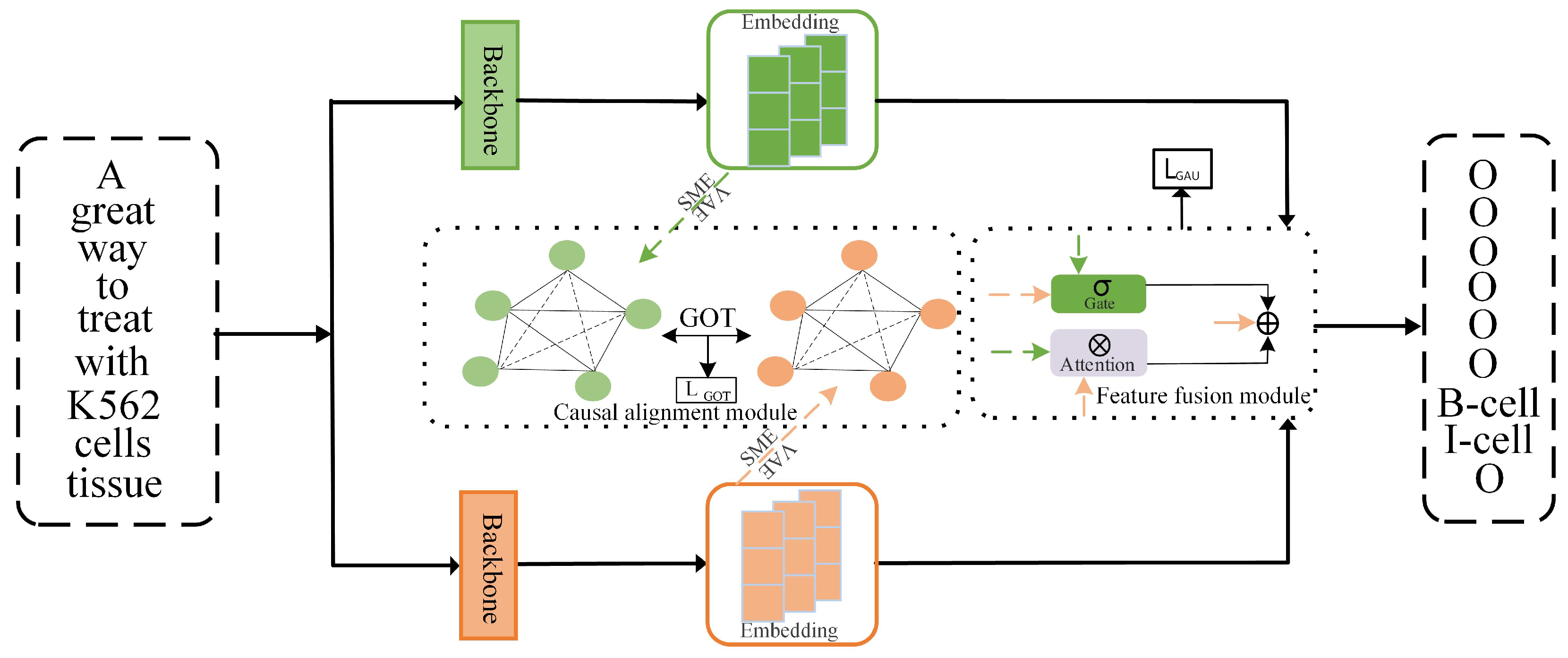 Harnessing Causal Structure Alignment for Enhanced Cross-Domain Named Entity Recognition