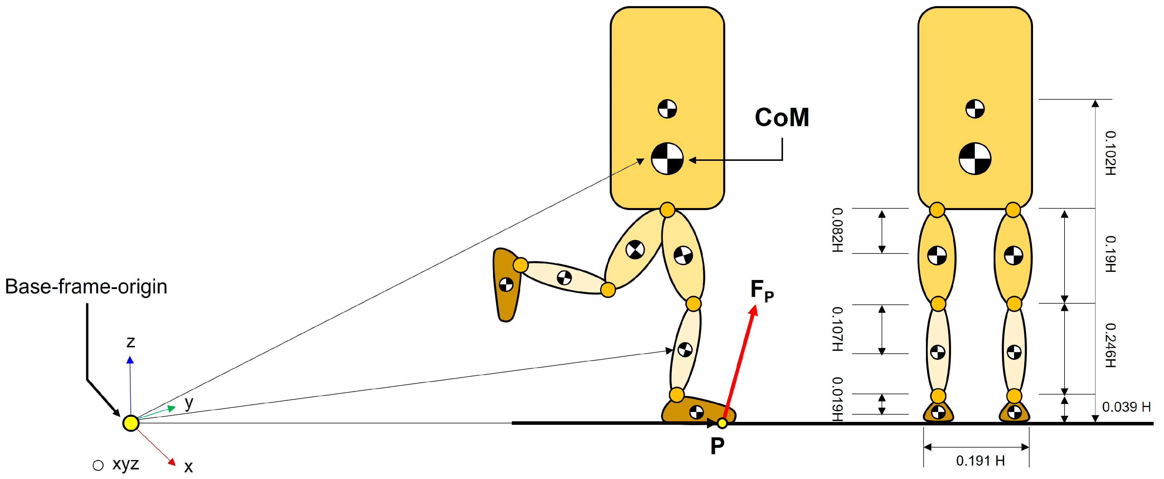 Proper Use Of Zimmer Frame Point Gait Ysis - Infoupdate.org