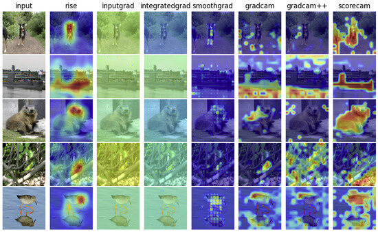 Explainability and Evaluation of Vision Transformers: An In-Depth ...